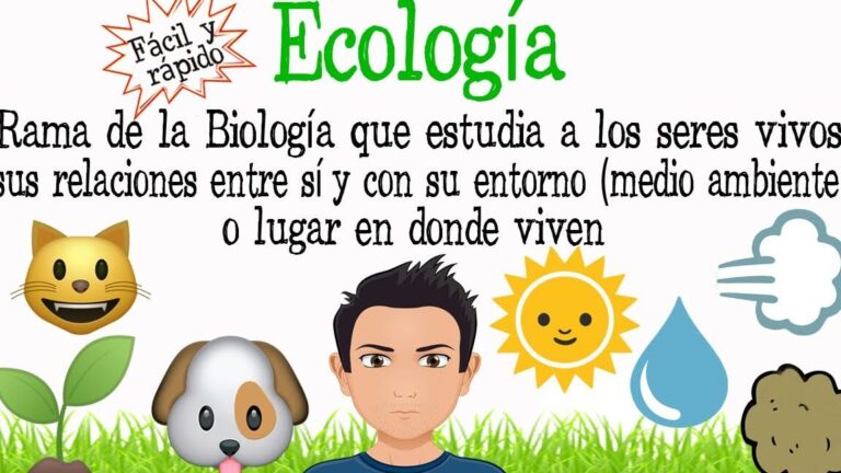 Niveles De Organización Ecológica: Descubre Cuáles Son Y Algunos Ejemplos