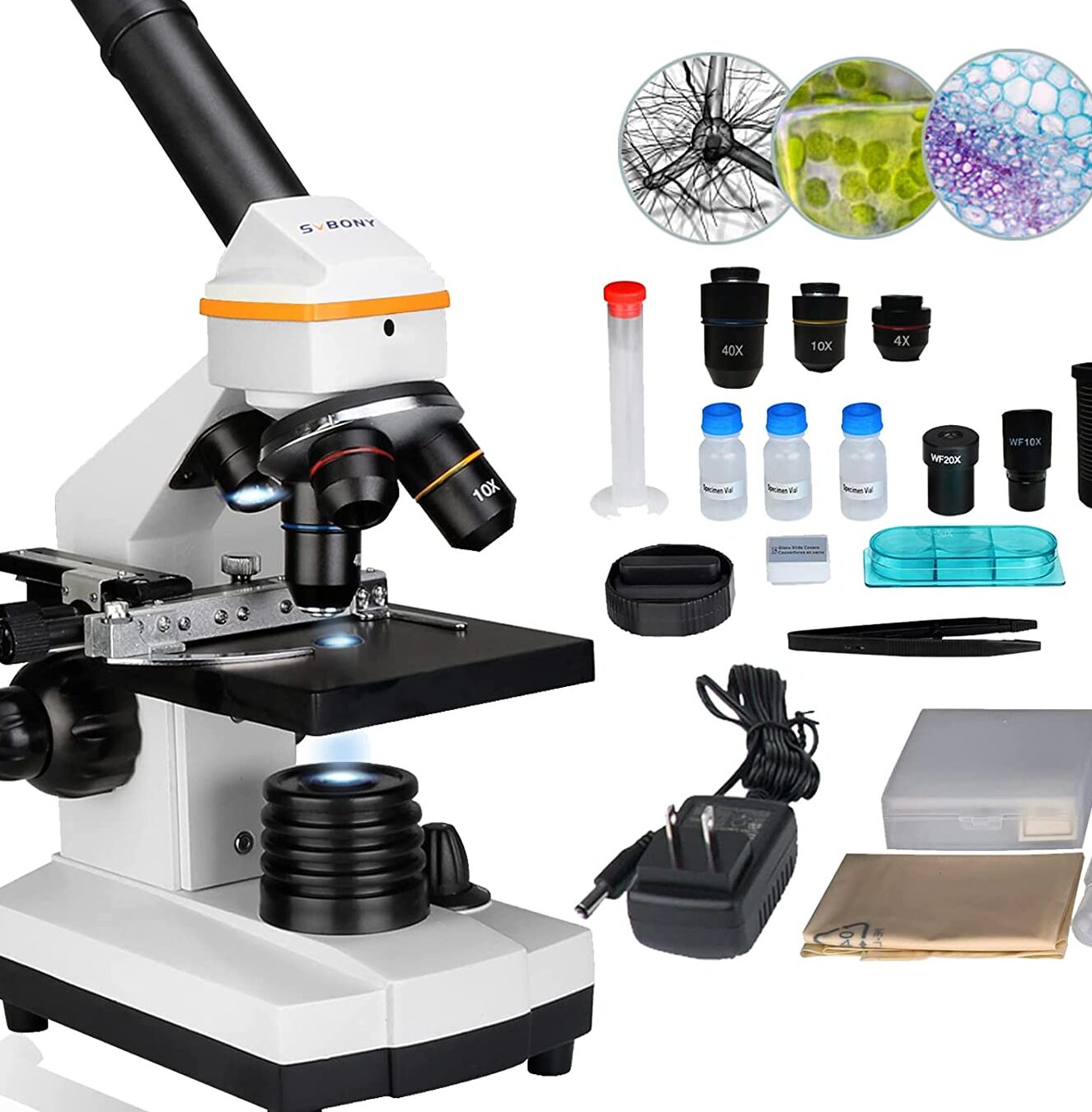 Microscopio Con Tornillo Micrométrico Y Macrométrico: ¡Descubre ...