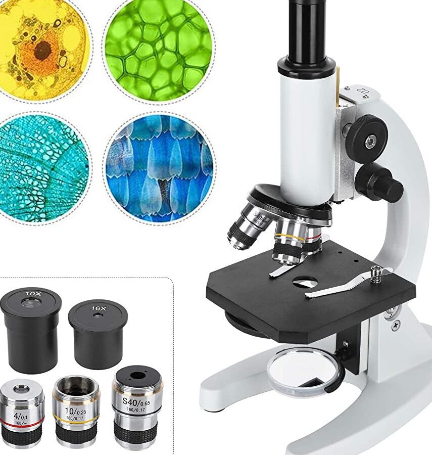 Microscopio Escolar: El Instrumento Ideal Para El Aprendizaje Científico